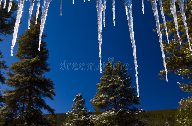 Icicles and Forest Background Stock Image - Image of outdoors, holiday ...