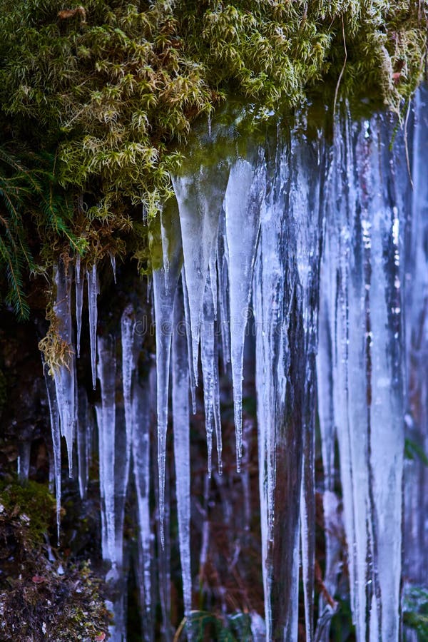 Icicles from a Frozen Waterfall Stock Photo - Image of light, cold ...