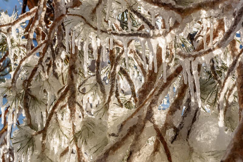 Icicles Ice Pattern Branches Backgrounds Stock Image - Image of crack ...