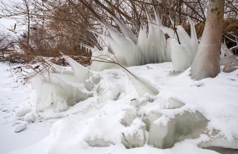 Icicles and Icy Frozen Branches of Tree at the Coast. Stock Image ...