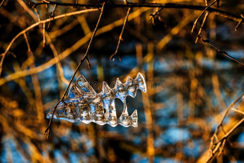 Icicles Illuminated with Sun Rays Stock Photo - Image of idyllic ...