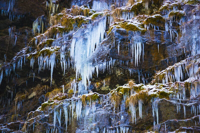 Icicles Inside of the Forest Stock Photo - Image of environment ...