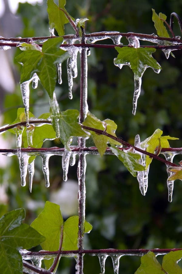 Icicles stock image. Image of postcard, cluster, nature - 2131709