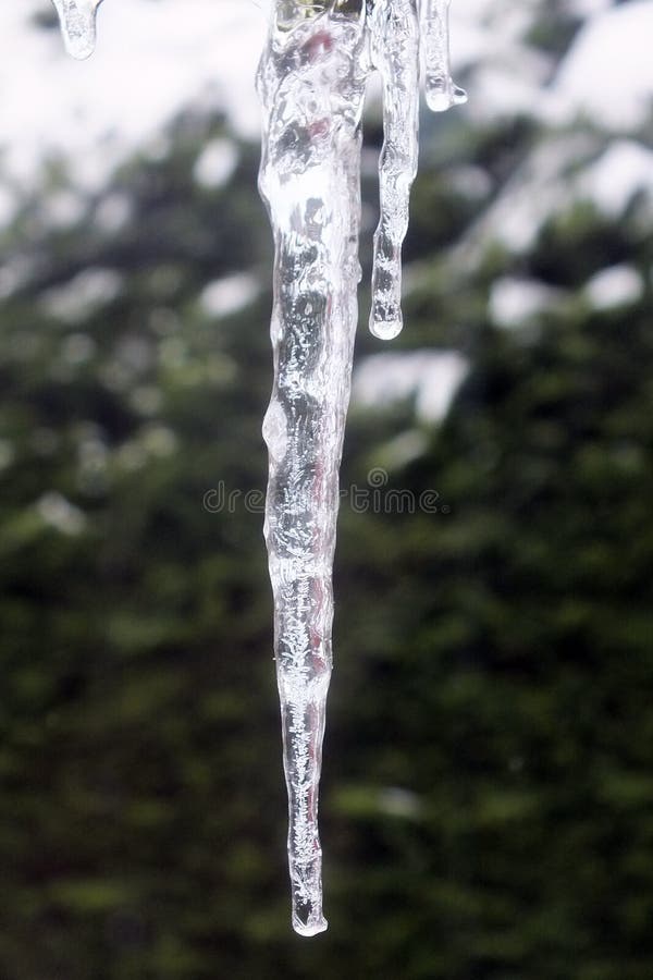 Icicles stock photo. Image of melting, icicle, close - 93041898