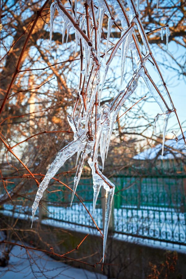 Icicles stock image. Image of shape, cool, blue, hanging - 66509593