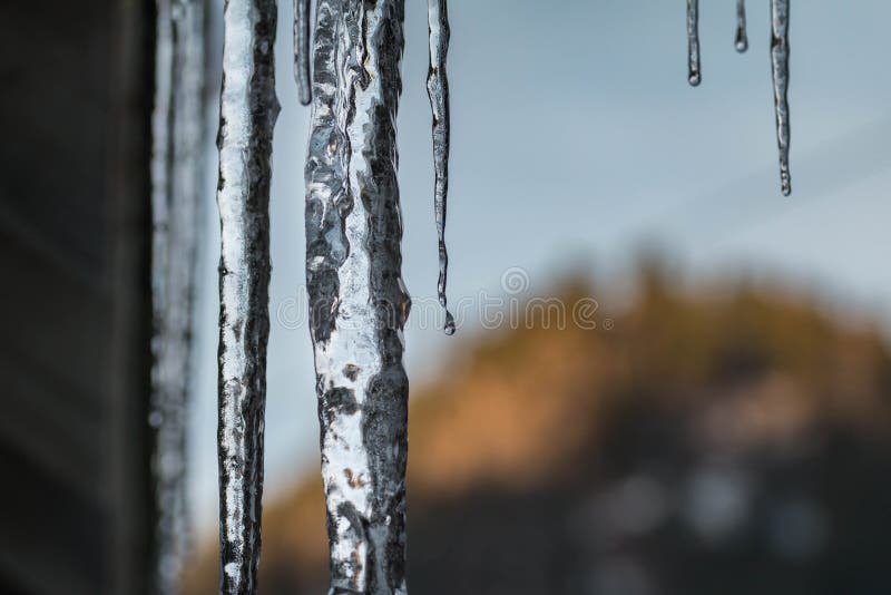 Icicles in the morning stock photo. Image of macro, canada - 106931904