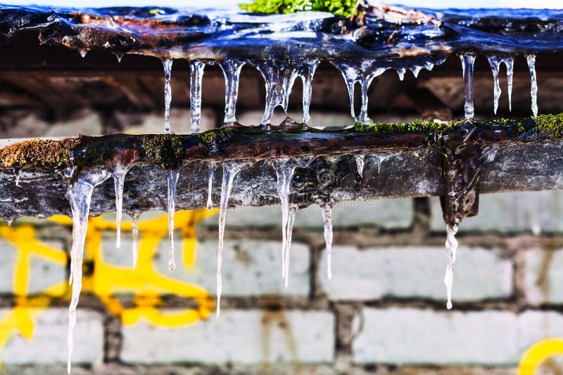 Icicles on Old Gully of House with Brick Wall Stock Image - Image of ...