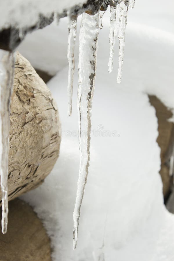 Icicles stock photo. Image of clean, outdoors, glacial - 37390008