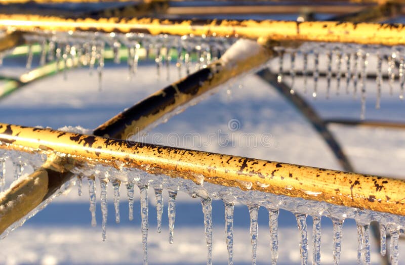 Beautiful Ice Coated Trees after an Extreme Ice Storm. Stock Image ...