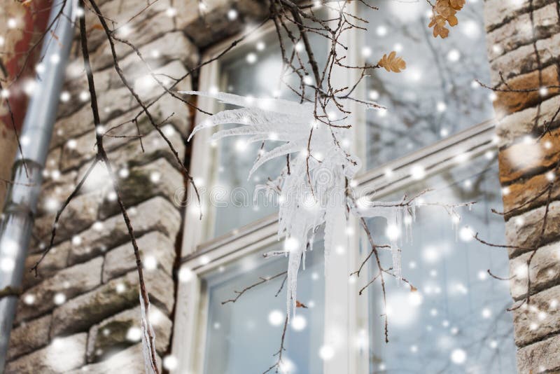 Icicles on Tree Branch Over Window Stock Image - Image of town, vintage ...