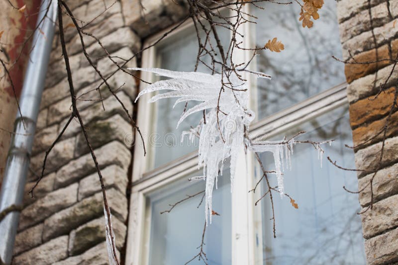 Icicles on Window stock photo. Image of frozen, view - 109615704
