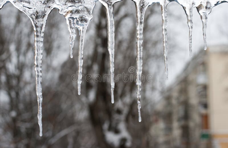 Icicles Which are Hanging Down Stock Photo - Image of frozen, line ...