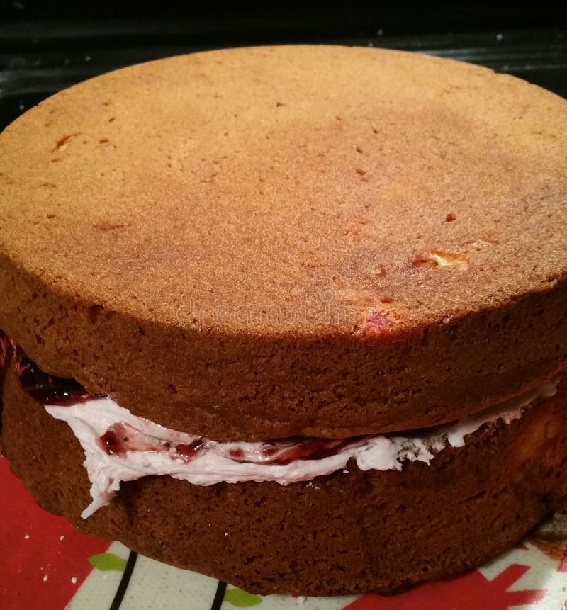 Icing a cake stock image. Image of cake, icing, puree - 82593251