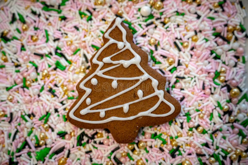 Icing on Christmas Tree Cookie Stock Image - Image of decor, pressed ...