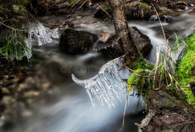 Icing on Trees at Stream Bed. Flowing Water Stock Image - Image of ...