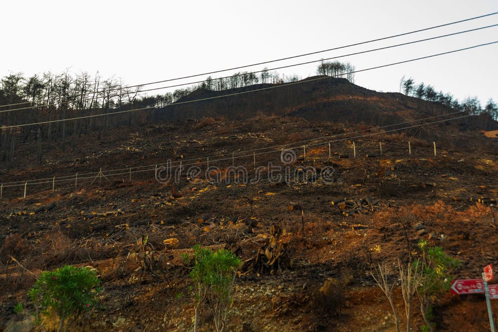 ICMELER, MARMARIS,TURKEY: the Consequences of a Fire in 2021 in the ...