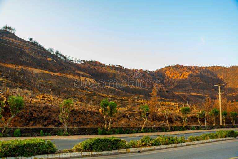 ICMELER, MARMARIS,TURKEY: the Consequences of a Fire in 2021 in the ...