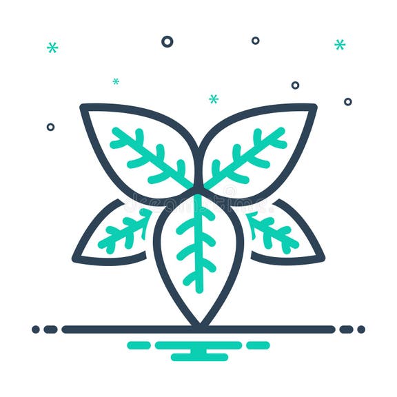 Mix Icon for Basil, Tulsi and Sweet Stock Vector - Illustration of ...