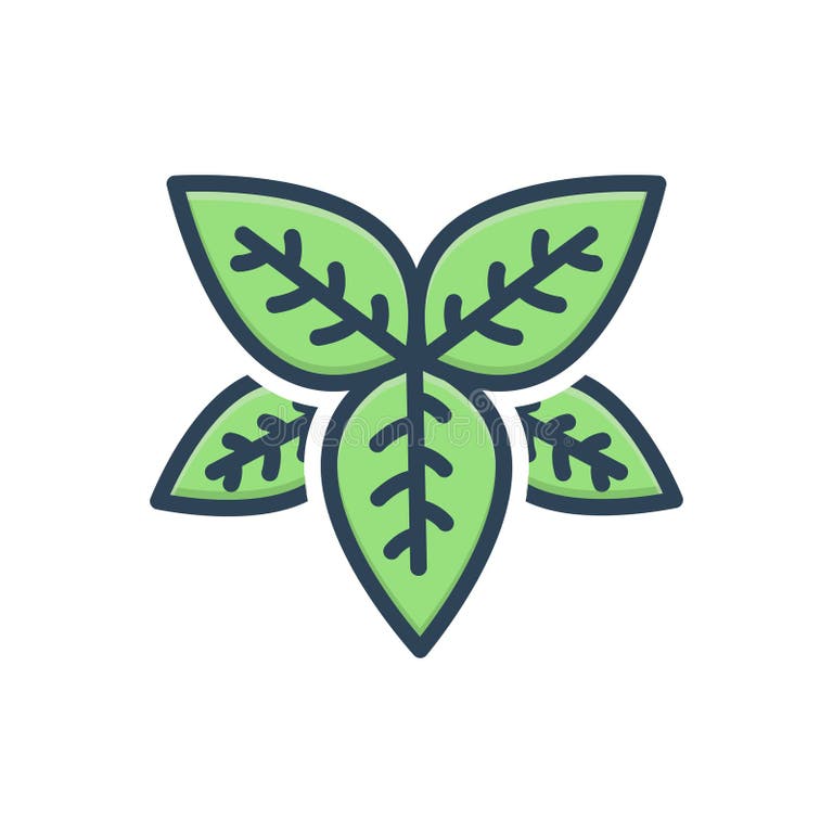 Tulsi Icon Stock Illustrations – 33 Tulsi Icon Stock Illustrations ...