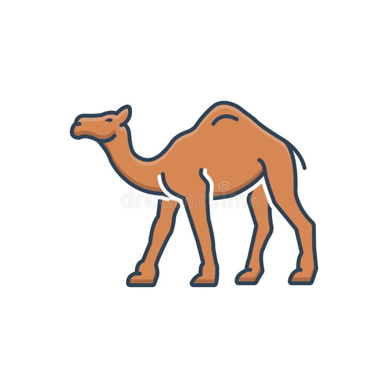 Color Illustration Icon for Camel, Wildlife and Zoo Stock Illustration ...