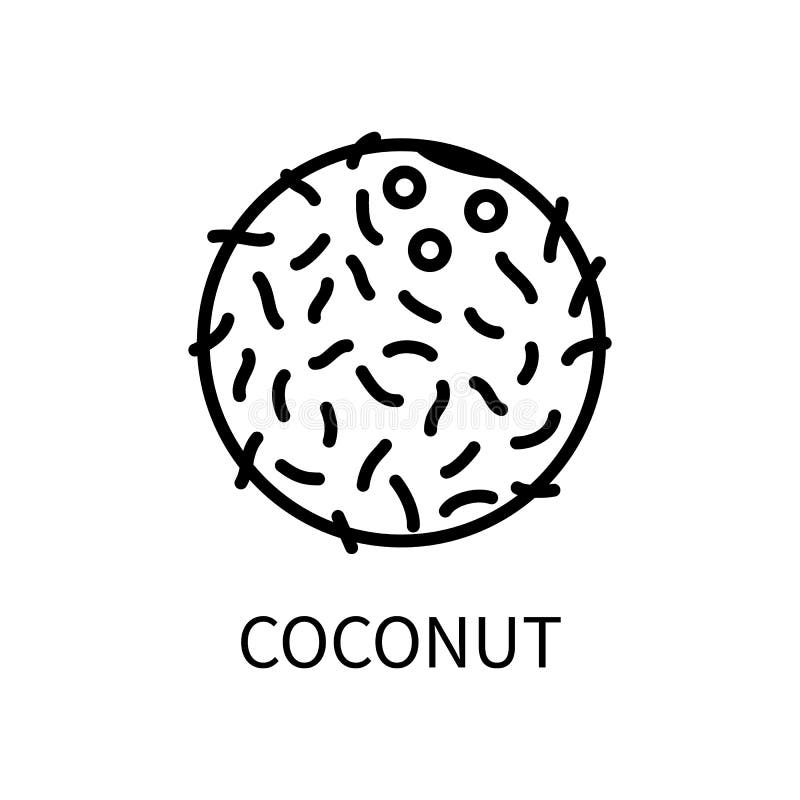 Coconut Line Icon. Tasty Nut Sign. Vegan Food. Vector Stock Vector ...