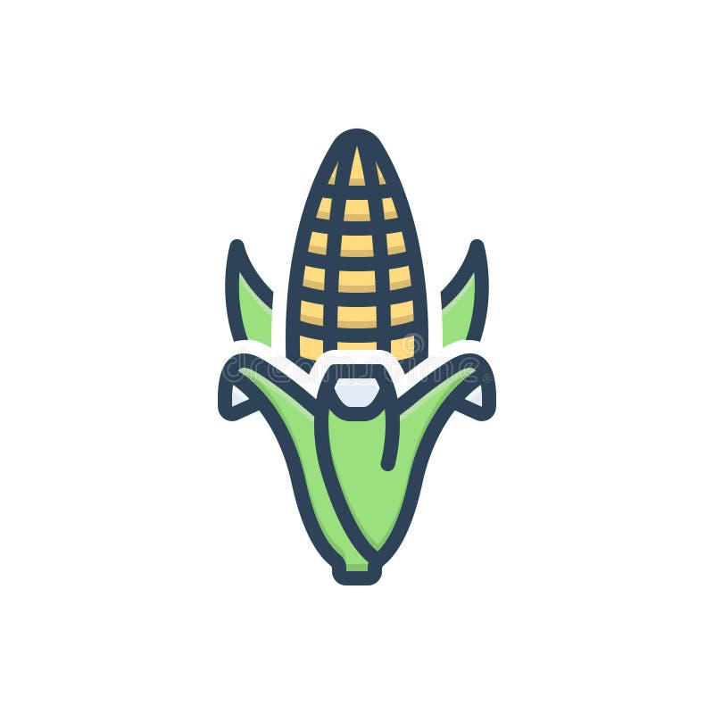 Color Illustration Icon for Corn, Corncob and Grain Stock Illustration ...