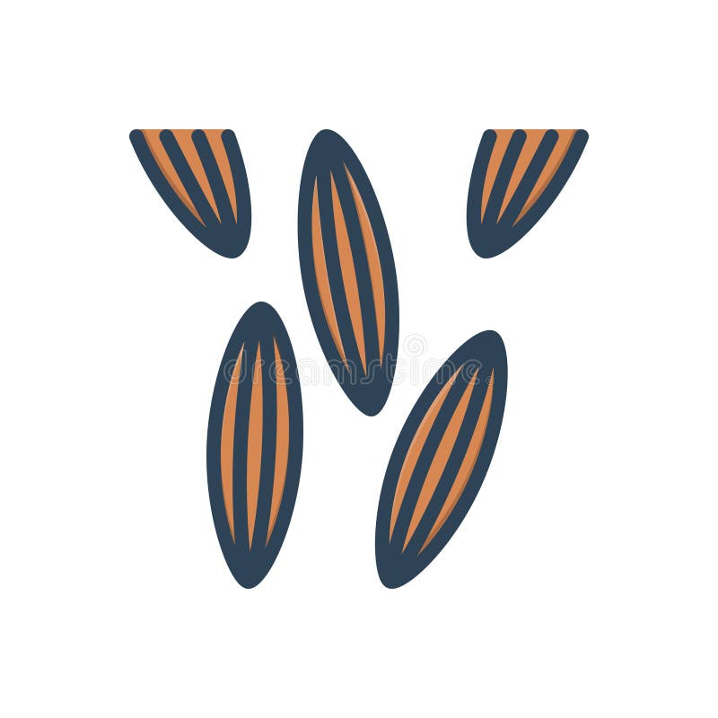 Color Illustration Icon for Cumin, Cumin Seed and Flavor Stock ...