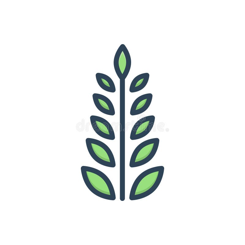 Color Illustration Icon for Curry Tree, Leaf and Floral Stock ...