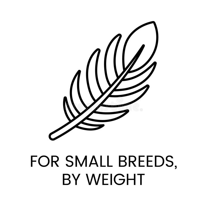 An Icon of a Feather in Vector, Representing Light and Precise Dosage ...