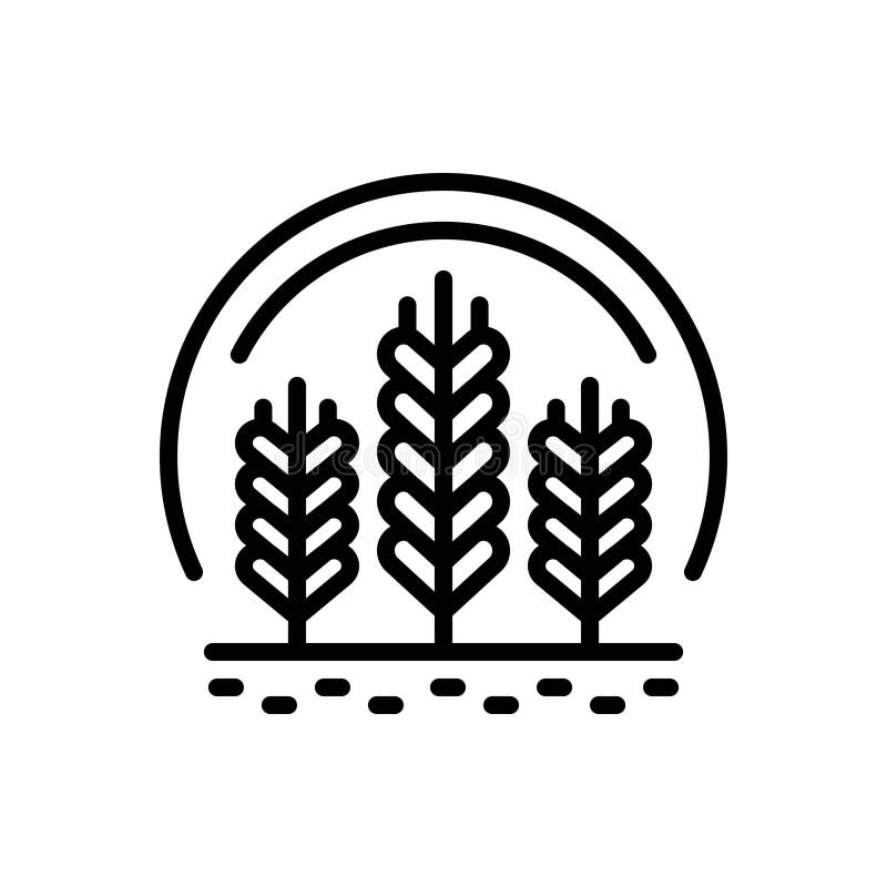 Black Line Icon for Grains, Wheat and Food Grain Stock Illustration ...
