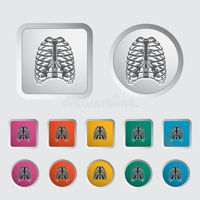 Icon of human thorax. stock vector. Illustration of graphic - 34654558