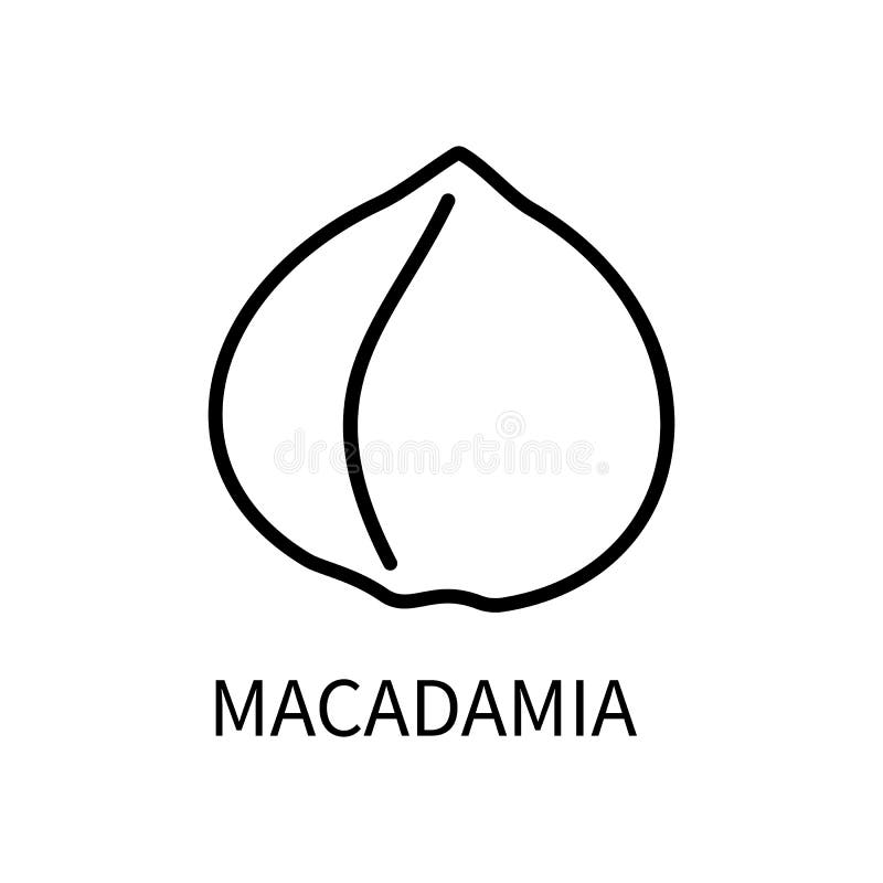 Macadamia Line Stock Illustrations – 957 Macadamia Line Stock ...