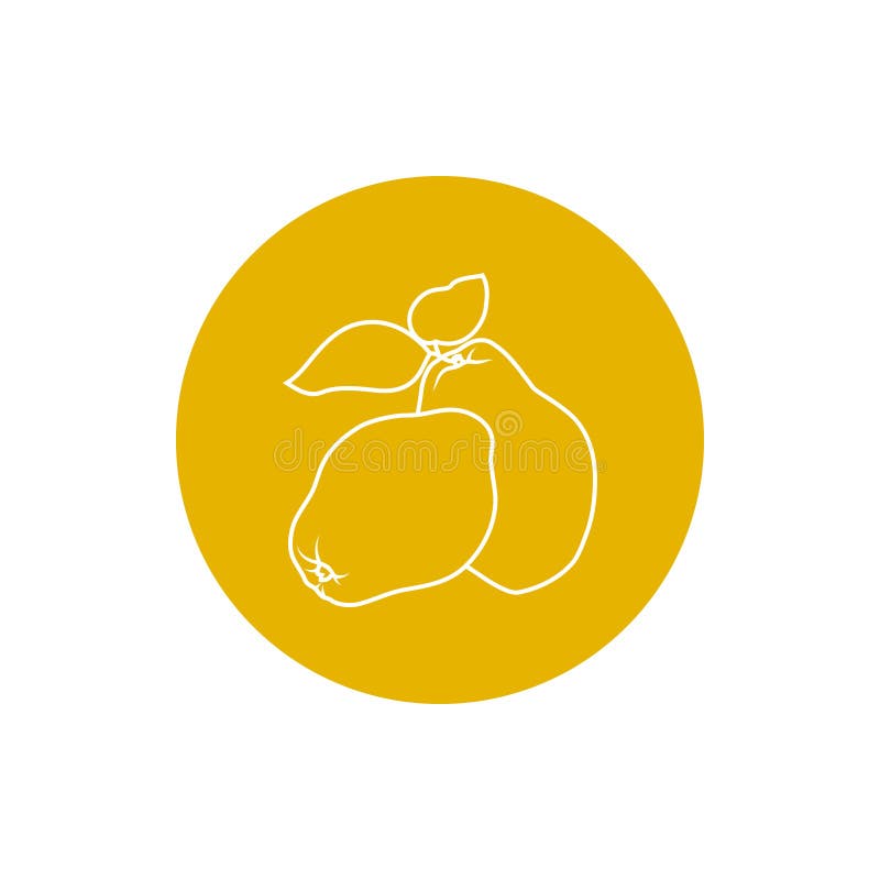 Icon Quince in the Contours Stock Vector - Illustration of contour ...