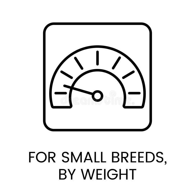 An Icon of a Rectangular Frame with a Scale Gauge Inside in Vector ...