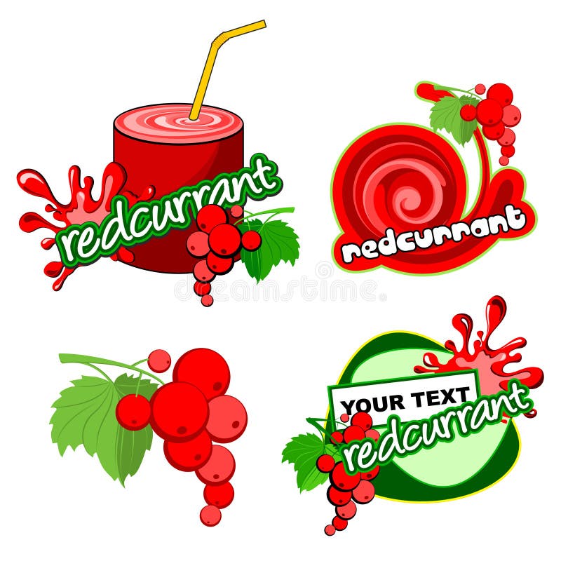 Icon Red Currant Vector Illustration Stock Illustration - Illustration ...
