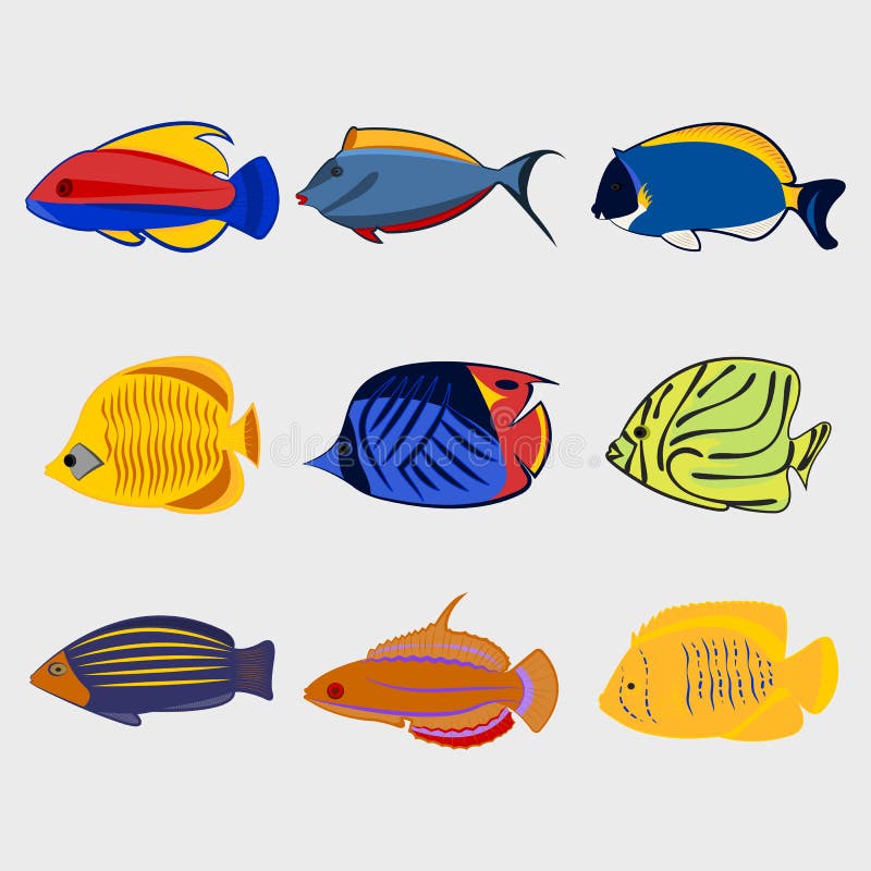 Sea. Icon set. Reef stock vector. Illustration of barrier - 63242803