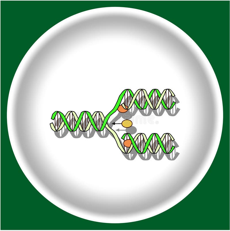 Icon Replication DNA on White Plate Stock Illustration - Illustration ...
