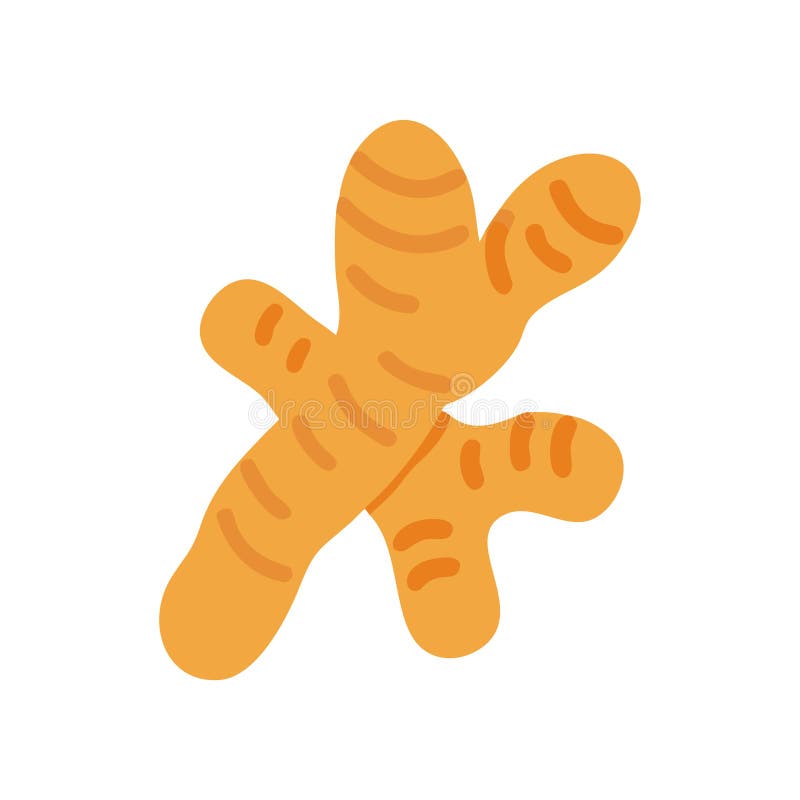 Turmeric Root Icon for Culinary Uses Stock Illustration - Illustration ...