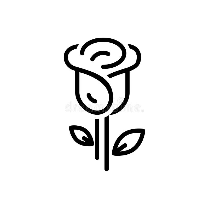 Musk Flower Stock Illustrations – 292 Musk Flower Stock Illustrations ...