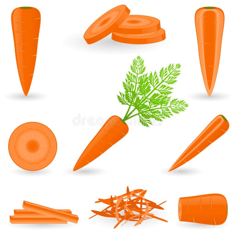Carrot Stock Illustrations – 130,066 Carrot Stock Illustrations ...