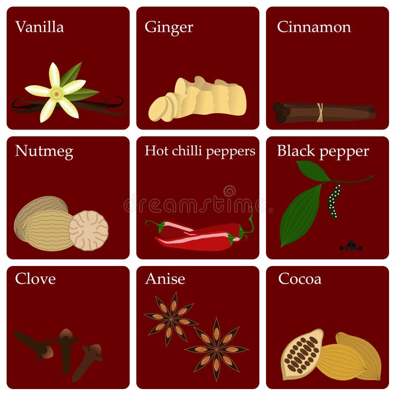 Icon Set of Spices for Everyday Cooking Stock Vector - Illustration of ...