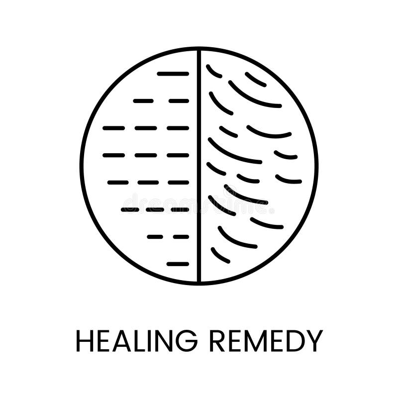 An Icon of a Split Circle with Textured Patterns in Vector, Symbolizing ...