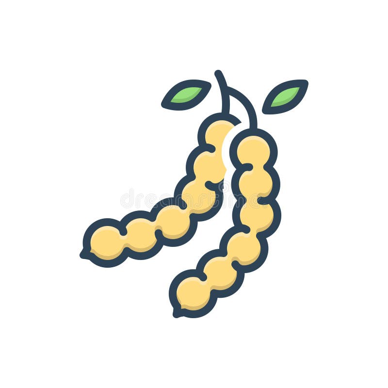 Tamarind Tree Stock Illustrations – 379 Tamarind Tree Stock ...