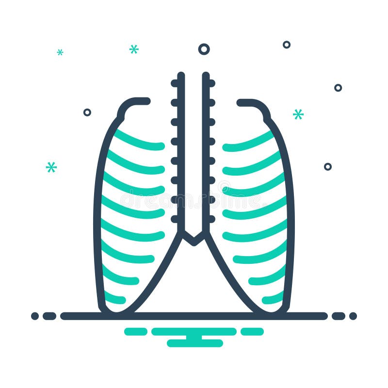 Mix Icon for Thorax, Ribcage and Chest Stock Vector - Illustration of ...