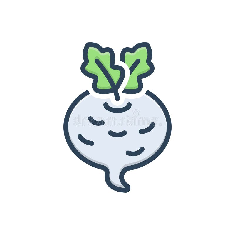 Color Illustration Icon for Turnip, Rutabaga and Neep Stock ...