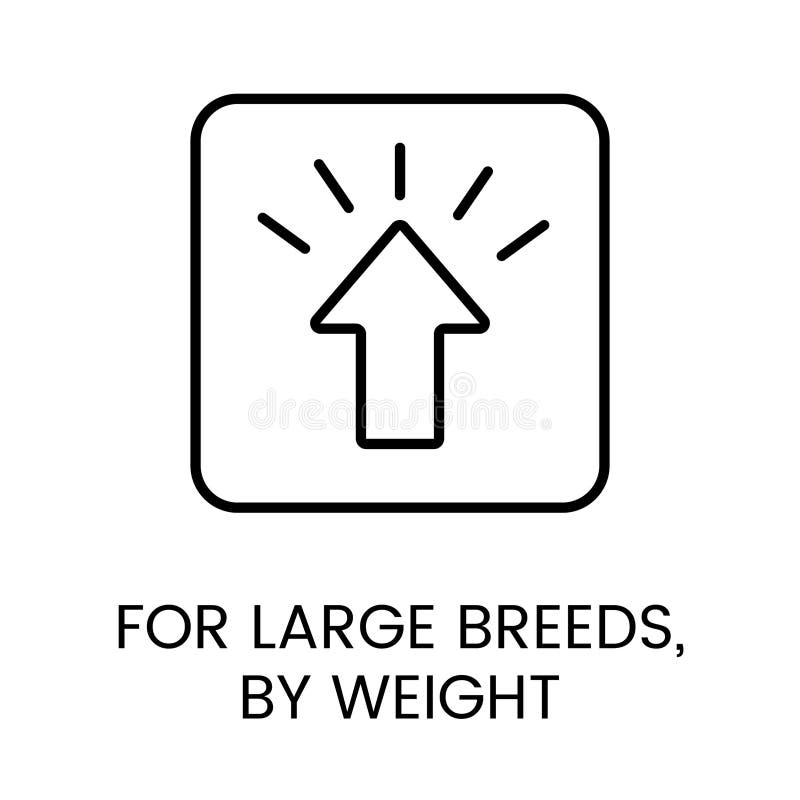 An Icon of an Upward Arrow in a Square Frame in Vector, Representing ...