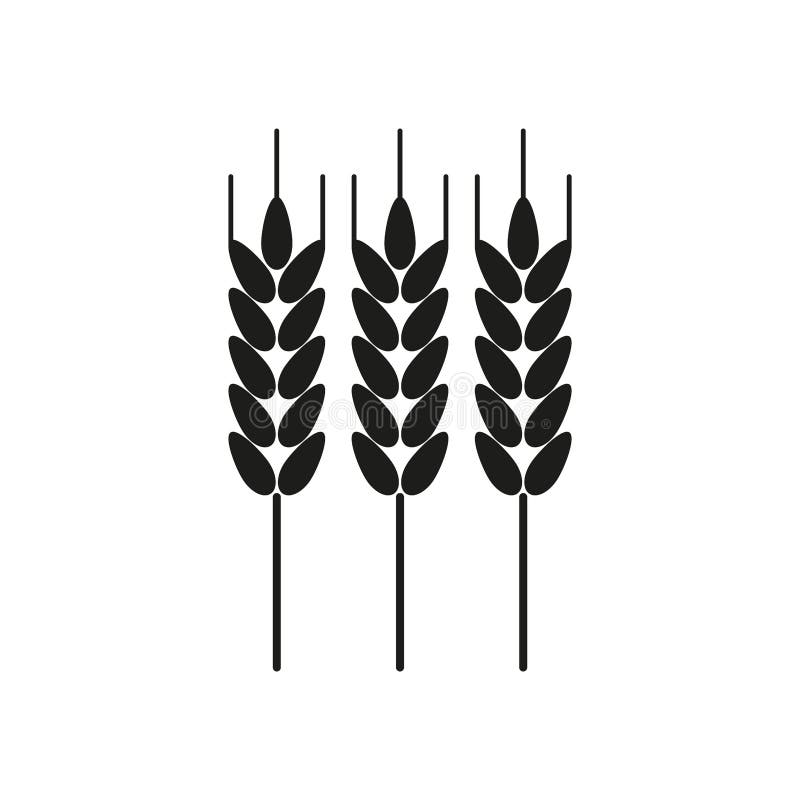 Icon of Wheat. Simple Vector Illustration on a White Background Stock ...