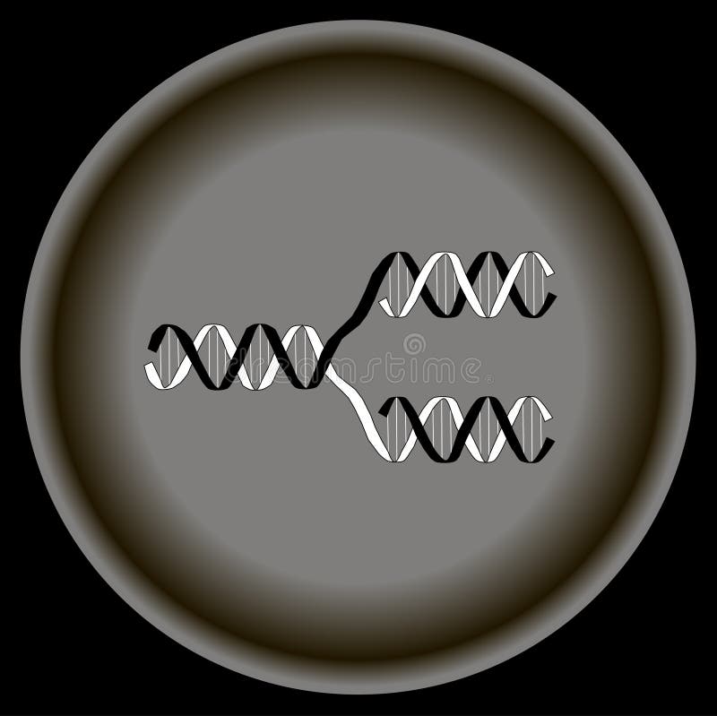 Icon Replication Dna White Plate Stock Illustrations – 2 Icon ...