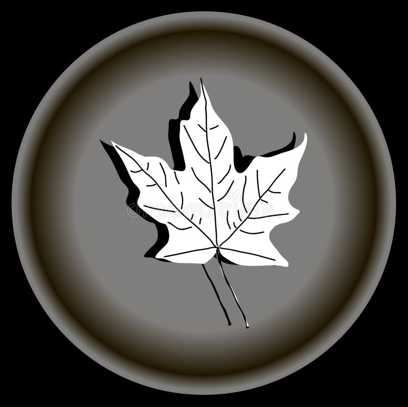 White Maple Wood Background Texture Stock Illustration - Illustration ...