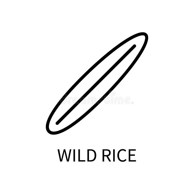 Icon of the Wild Rice Line in a Simple Style. Vector Sign in a Simple ...